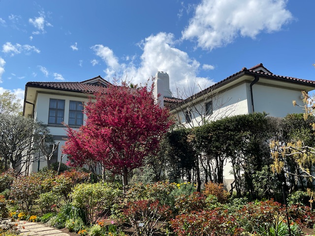 【ご報告】第13回KGHJライブ | KG同窓会KANAGAWA